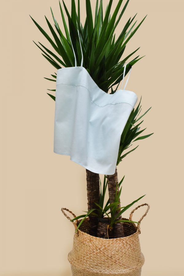 24/7 Cami - Forest & Thread